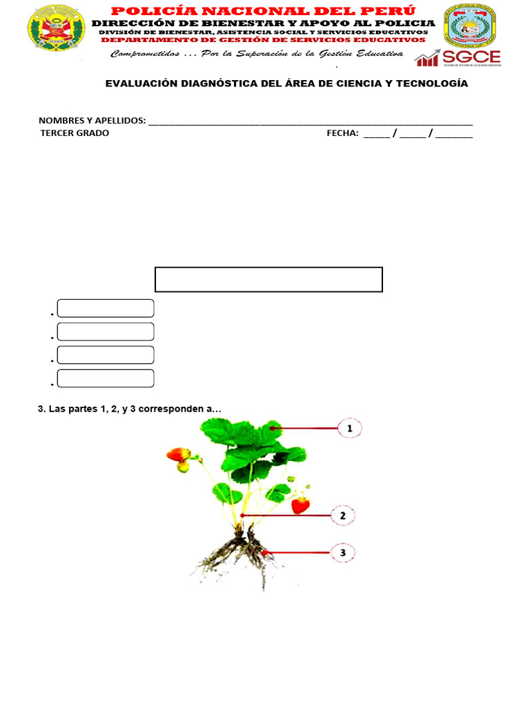 Evaluación Diagnóstica - Ciencia y Tecnología - Tercer Grado A | PDF ...