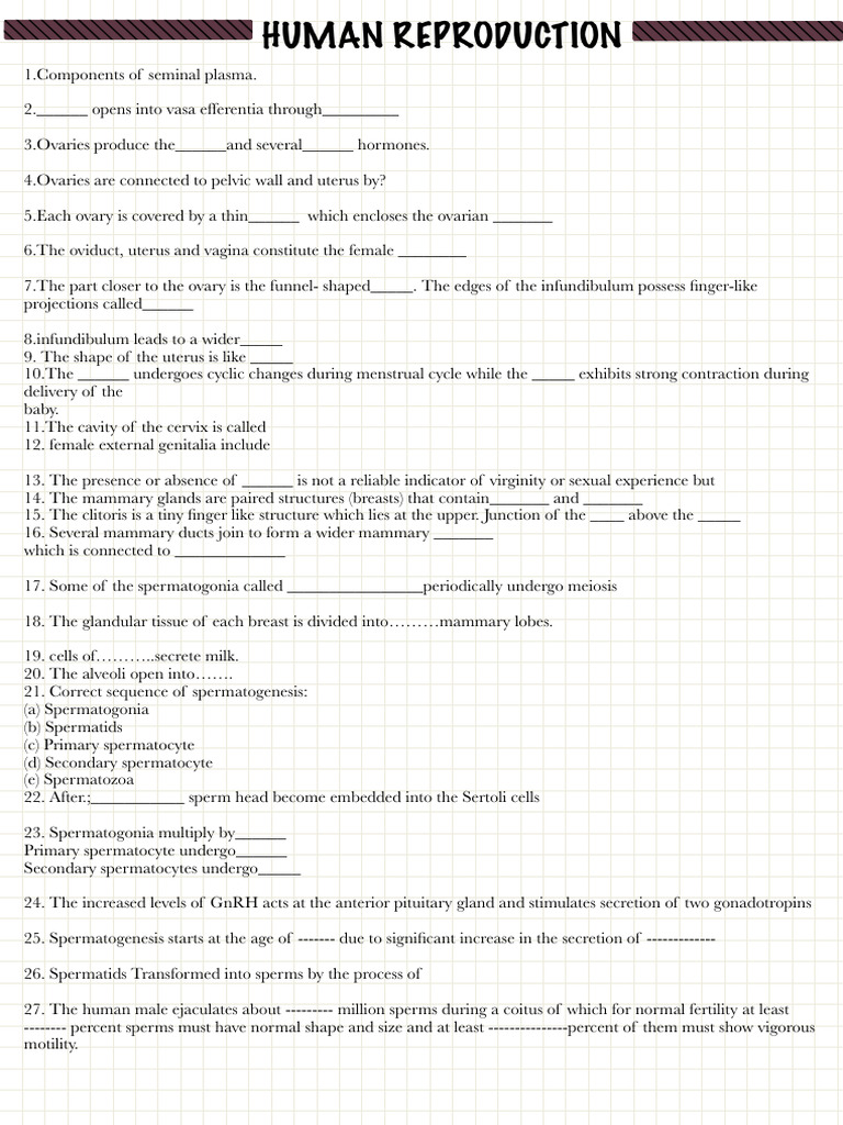Human Reproductive System Overview | PDF | Menstrual Cycle | Ovary