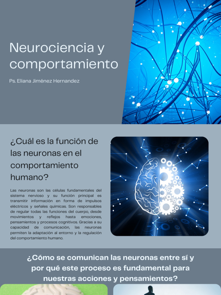 Neurociencia y comportamiento | PDF | Sistema nervioso | Neurona