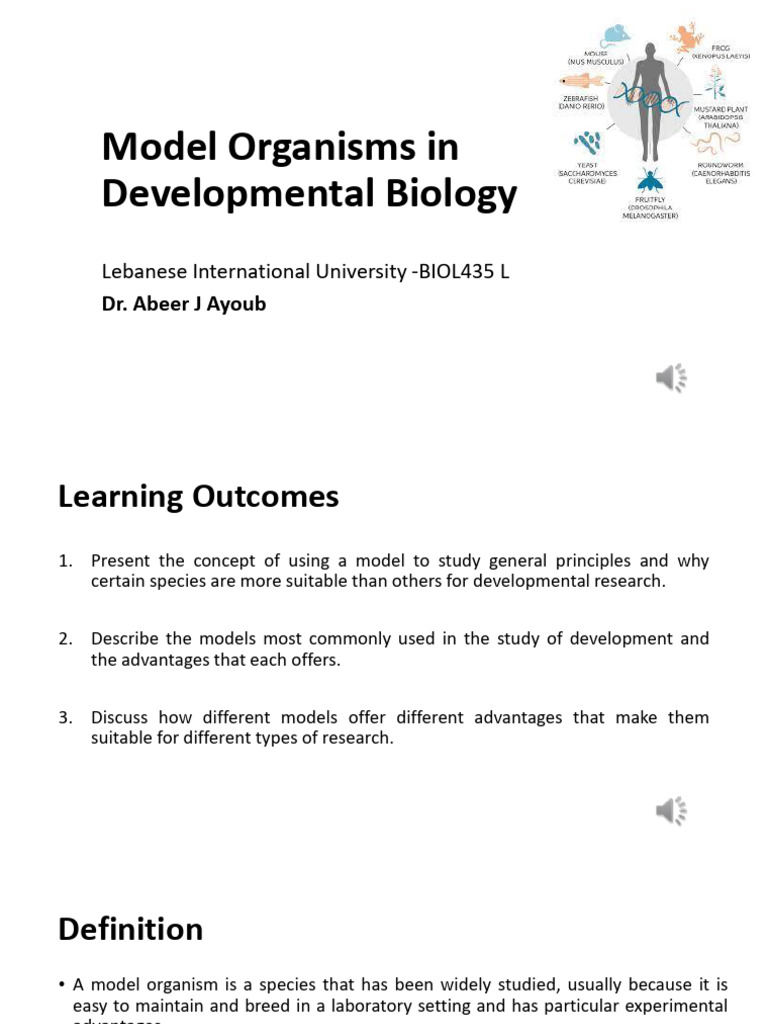 Model Organisms in Developmental Biology | PDF | Model Organism ...
