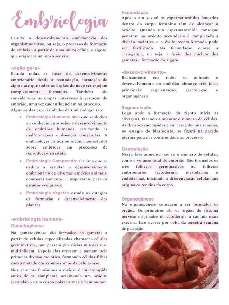 Embriologia | PDF