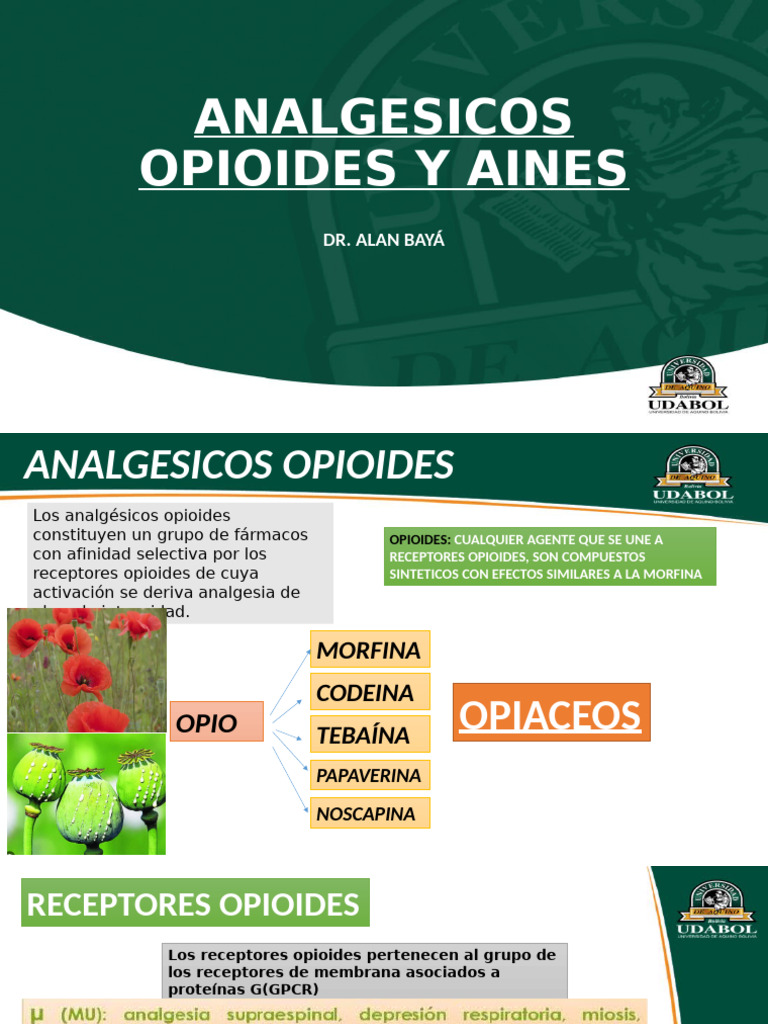 4 Analgesicos Opioides y Aines | PDF | Opioide | Analgésico