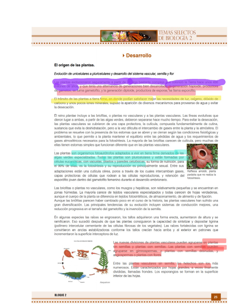 Material Apoyo Act 1 2do - Parc | PDF