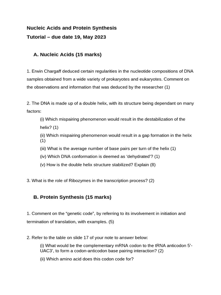 Nucleic Acids and Protein Synthesis Tutorial | PDF
