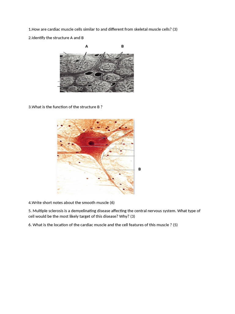 Tutorial Part 2 - Histology | PDF