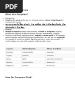 Pogil - 6 Enzymes and Cellular Regulation | PDF | Enzyme | Polymerase ...