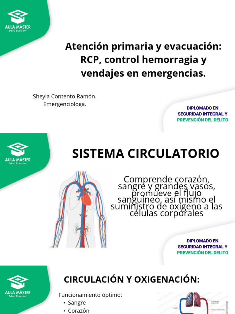 MÓDULO IV - CLASE 3 - Compressed | PDF | Reanimación cardiopulmonar | Sangre