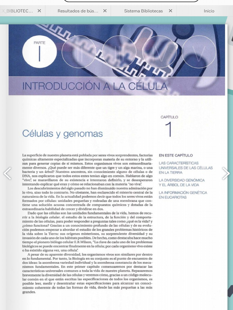 Libro Fundamentos Capitulo 1 | PDF