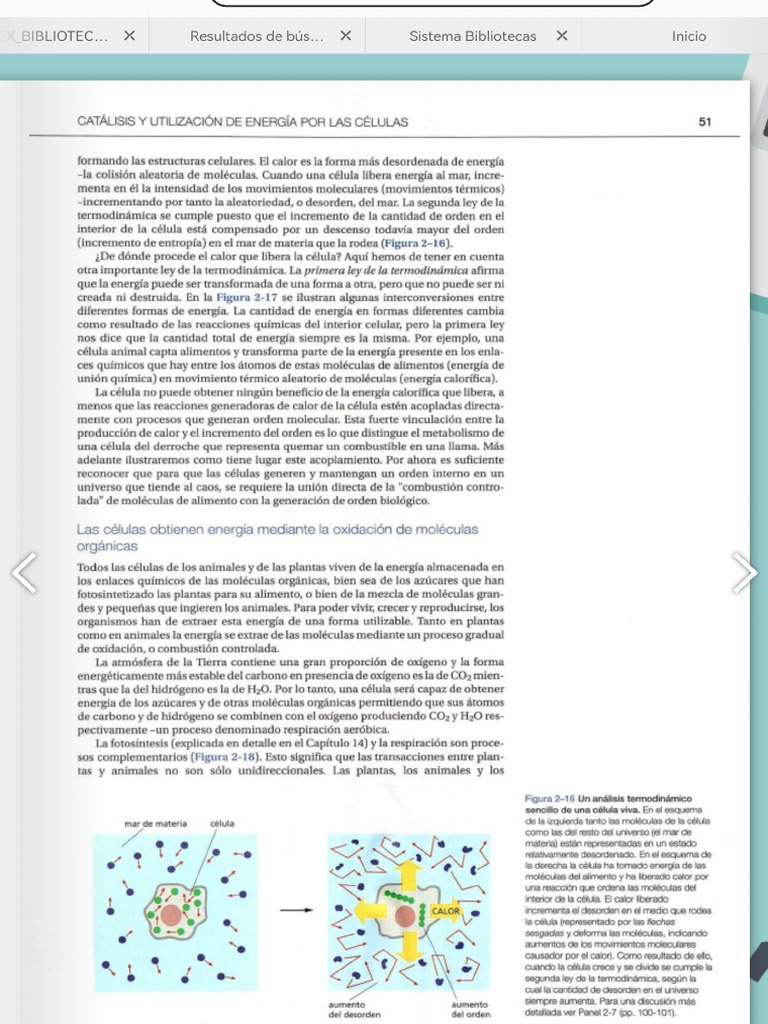 Libro Fundamentos Capitulo 2 | PDF