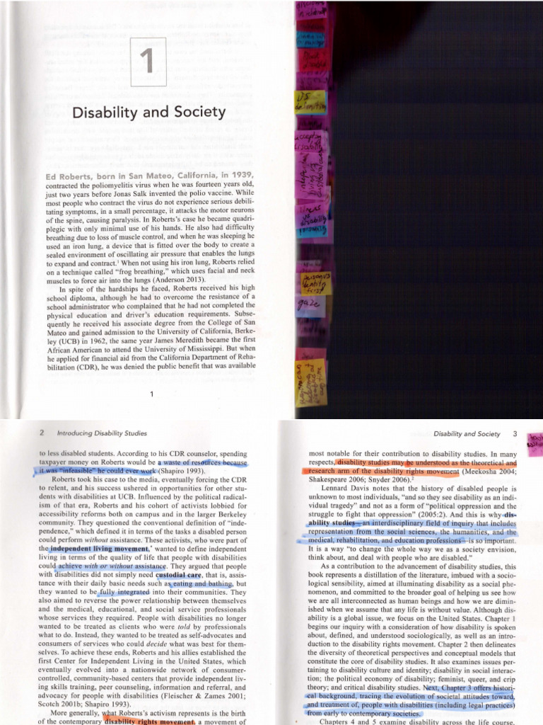 Disability and Society | PDF