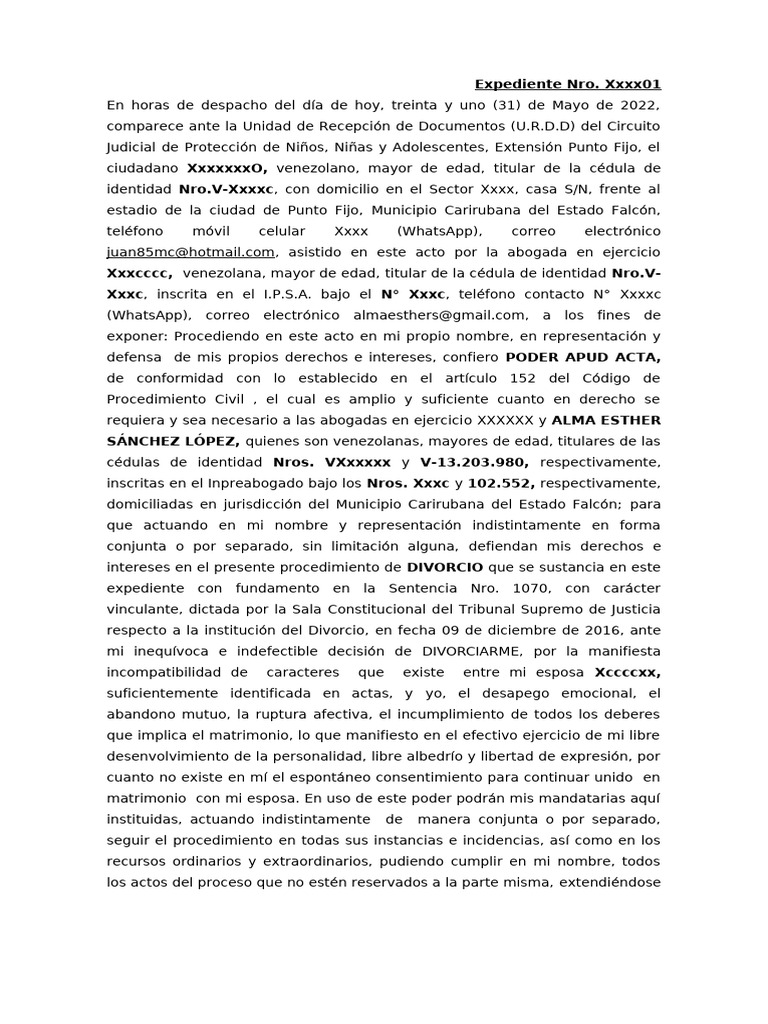 Poder Apud Acta Proteccion | PDF | Apelación | Divorcio