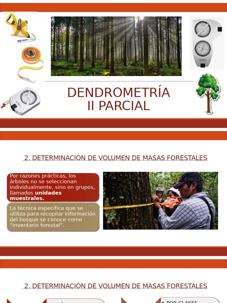 Dendrometría - II Parcial | PDF | Muestreo (Estadísticas) | Los bosques