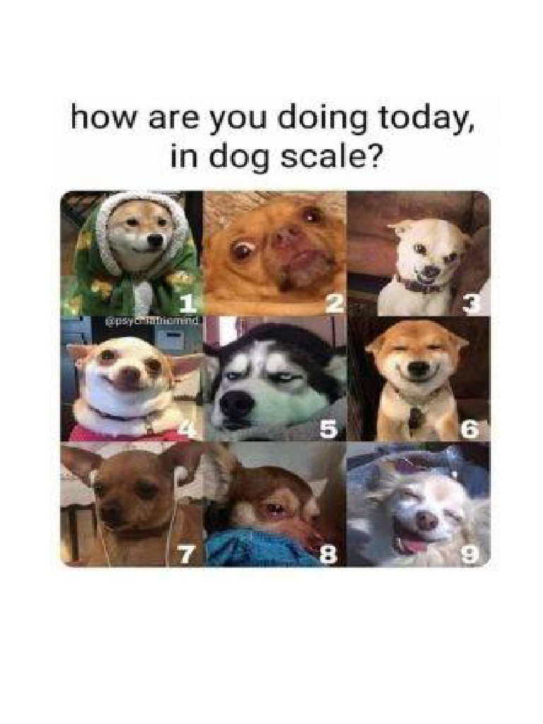 How Are You Scale | PDF