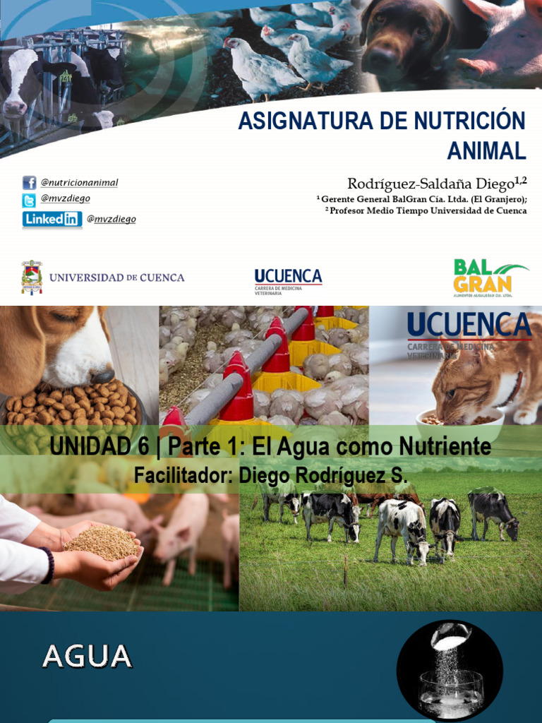 NA U06A Agua en Nutrición | PDF | Agua | Nutrientes