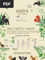 Ficha Antirrabica Preenchivel 27112020 | PDF | Raiva | Sistema de saúde