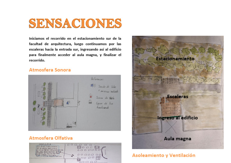 TP Sensaciones Morfo | PDF