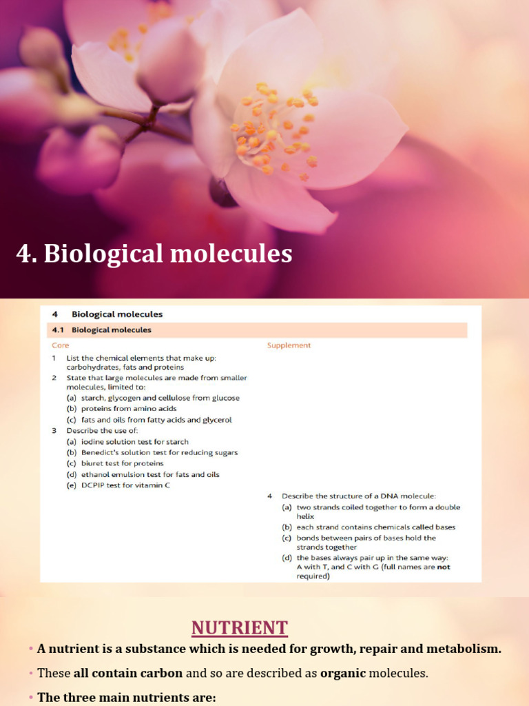 4. Biological molecules.pptx | PDF | Carbohydrates | Glucose