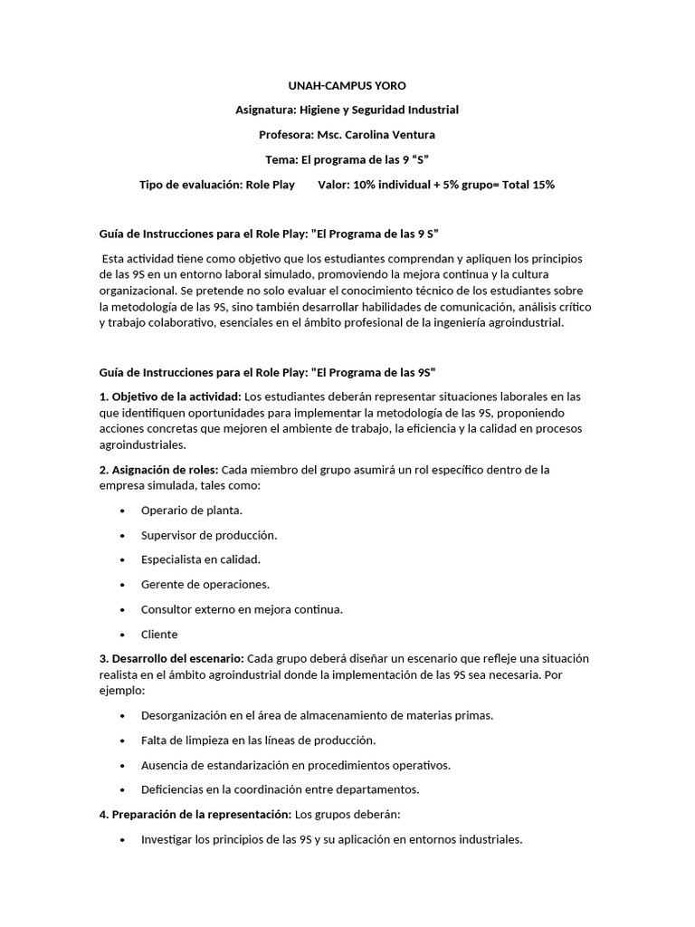 Guía de Instrucciones Programa Las 9 S | PDF