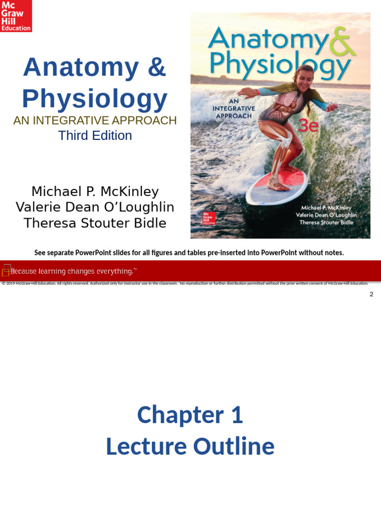 Anatomy and Physiology Overview | PDF | Homeostasis | Anatomical Terms ...