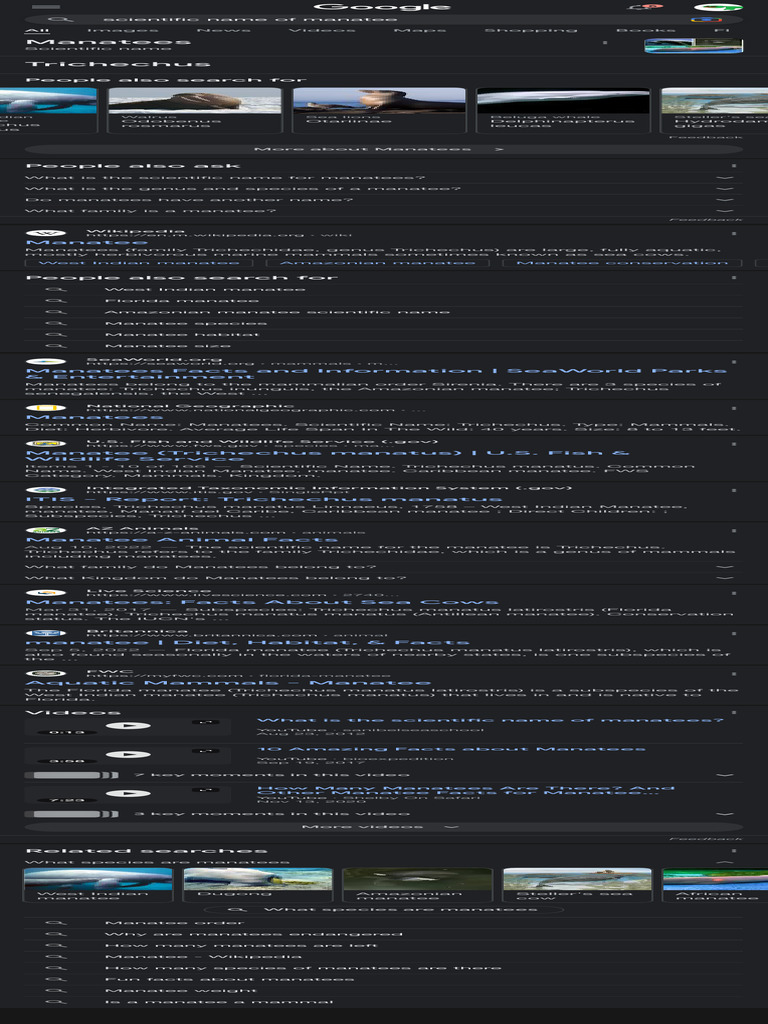 Beluga Whale Scientific Name - Google Search | PDF | Marine Mammals ...