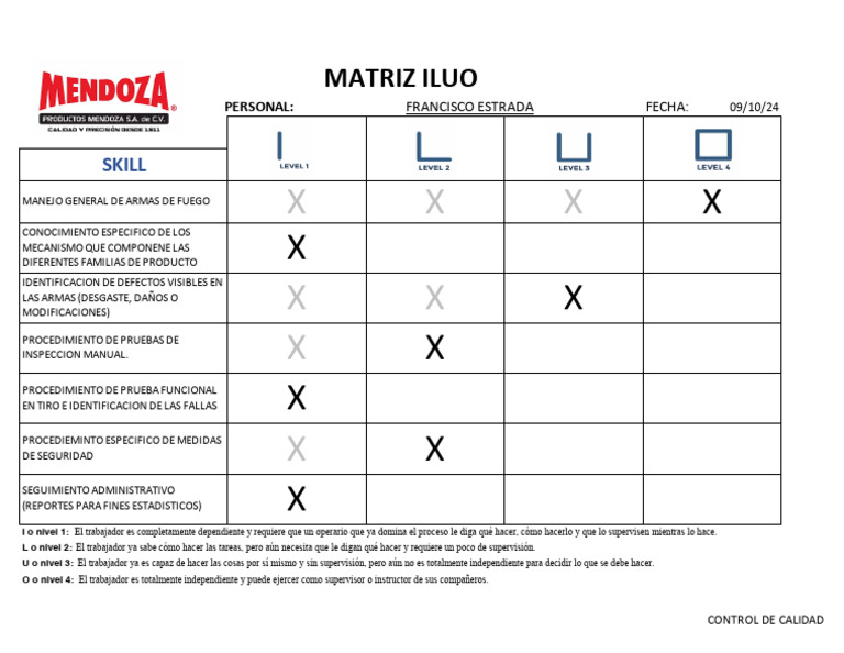 Matriz ILUO | PDF