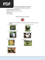 Tabela de Anilhas FOB 2025 | PDF | Aves | Ornitologia