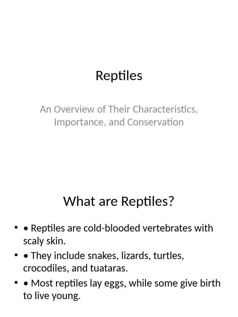 Reptiles Presentation | PDF