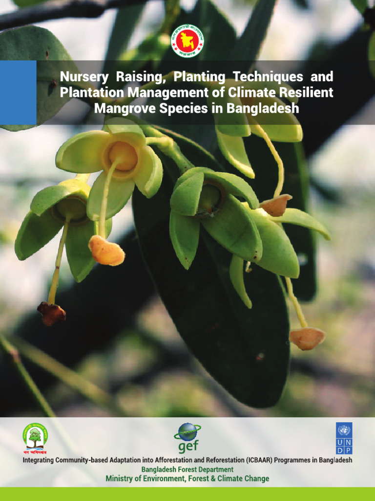 Mangrove Manual English | PDF | Plant Nursery | Mangrove