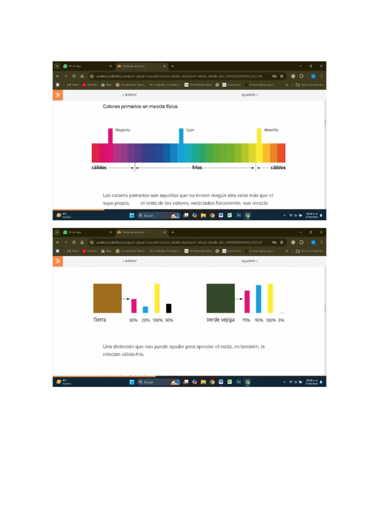 Capturas Paleta | PDF