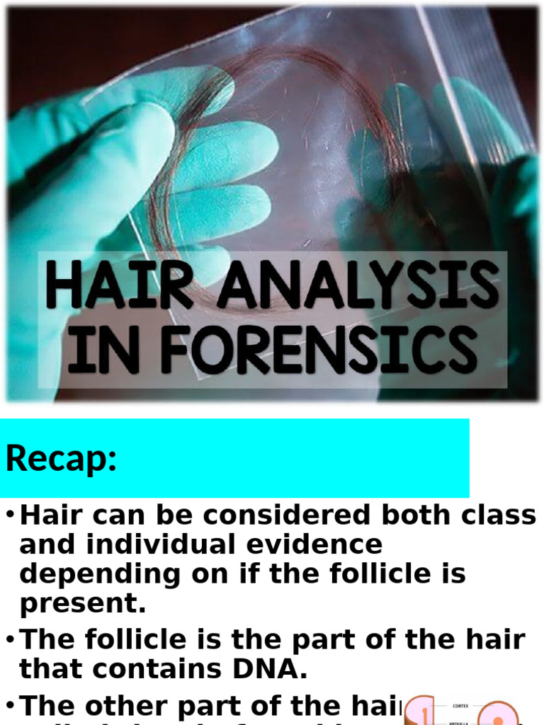 Hair Analysis in Forensics-Lesson 2 | PDF | Hair | Alpha Helix
