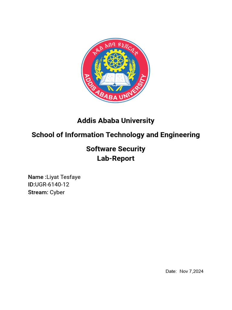 Buffer_Overflow_lab_report | PDF | Software Engineering | Computer Architecture