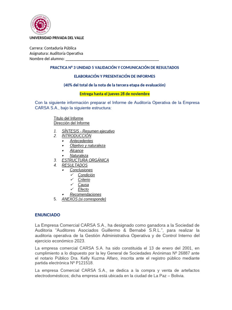 Practica N3-U5 Elaboración y Presentacion de Informe | PDF | Auditoría | Investigación de mercado