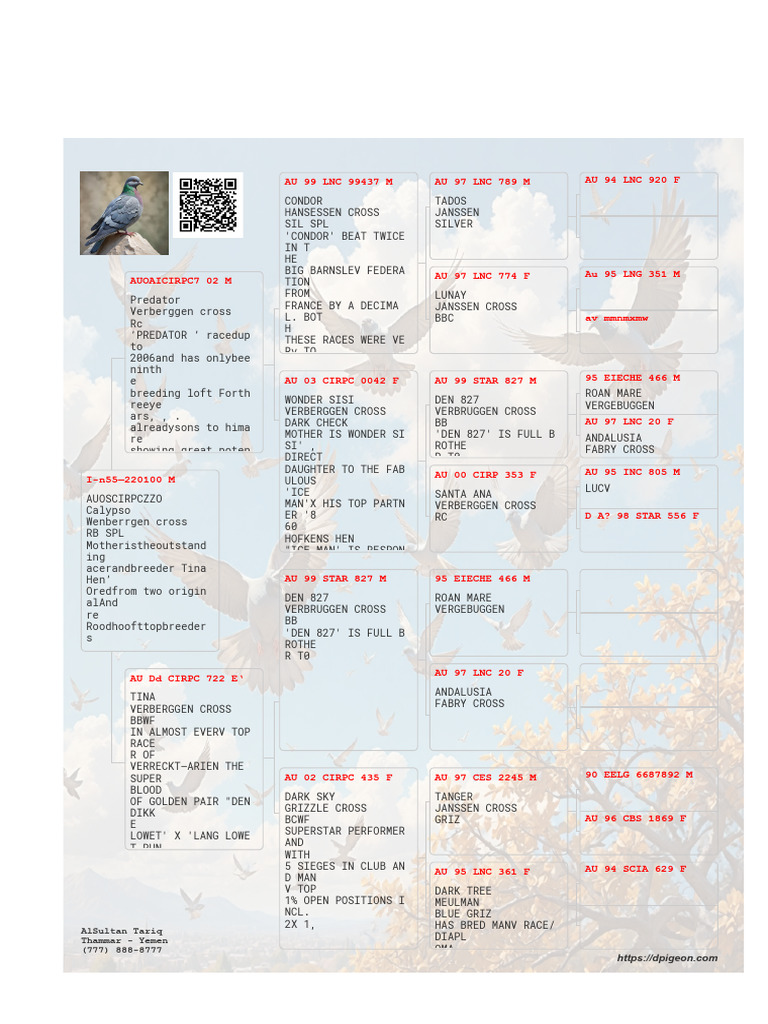 Dpigeon-Com-Pigeon | PDF