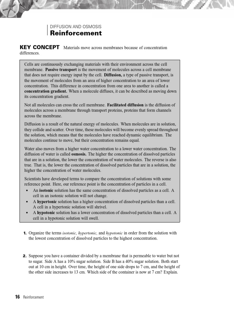 Ana Valentina Martinez Martinez - Reinforcement Ch.7 Lesson 3a | PDF ...