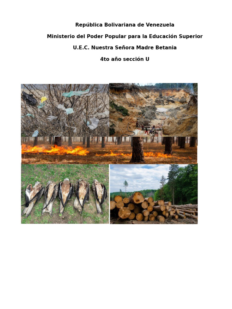 Destrucción de Hábitats y Biodiversidad | PDF | Destrucción del habitát ...