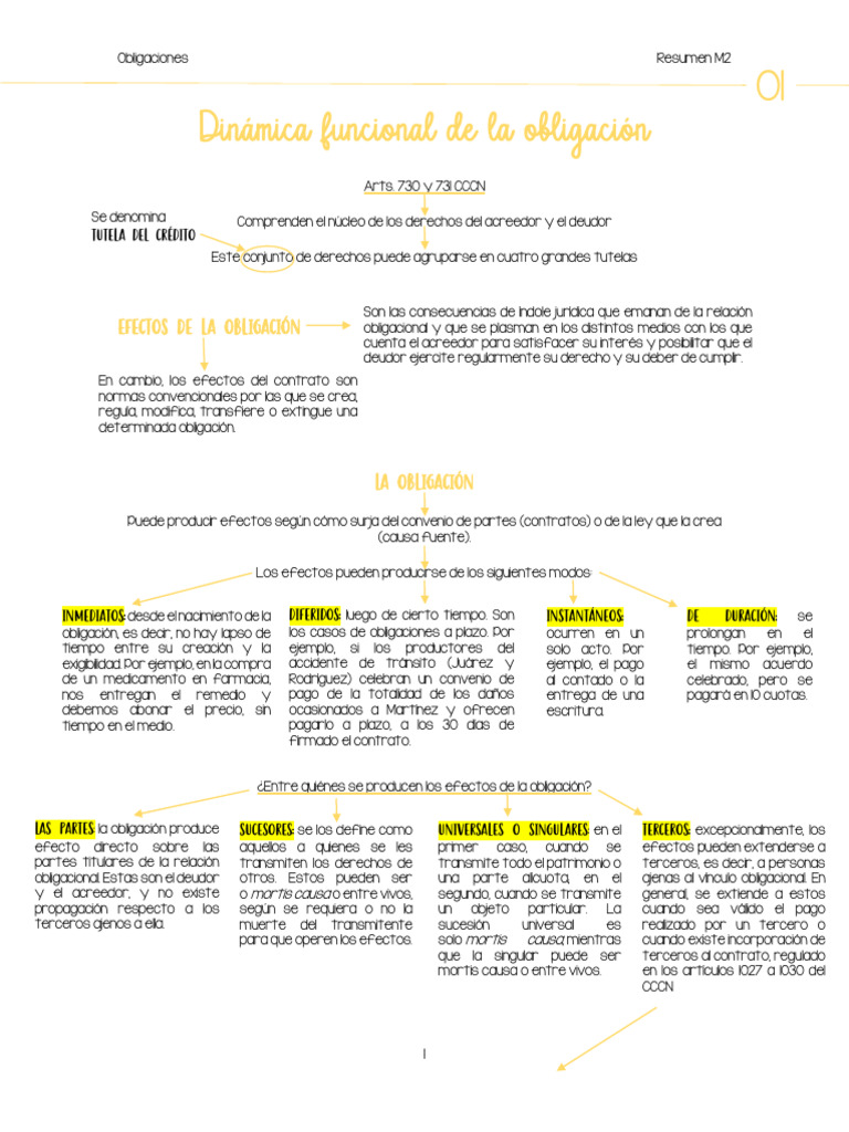 Resumen M2 - Obligaciones | PDF | Pagos | Bienes (Ley)