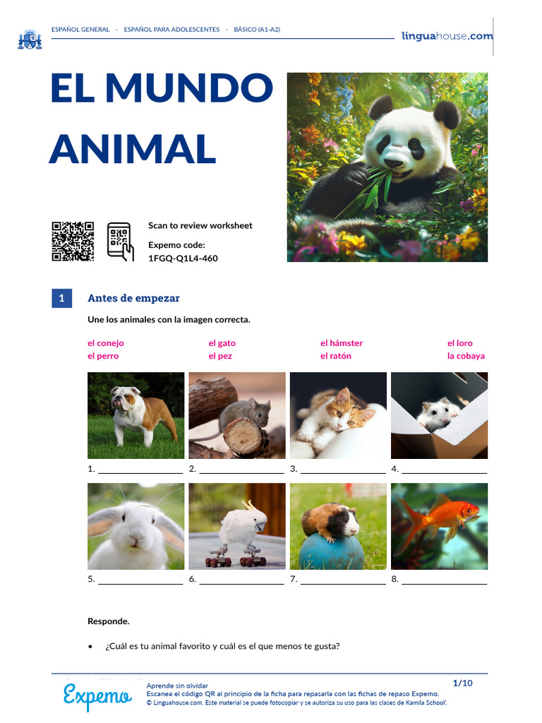 Vocabulario y Adivinanzas de Animales | PDF | Reptil | Pescado