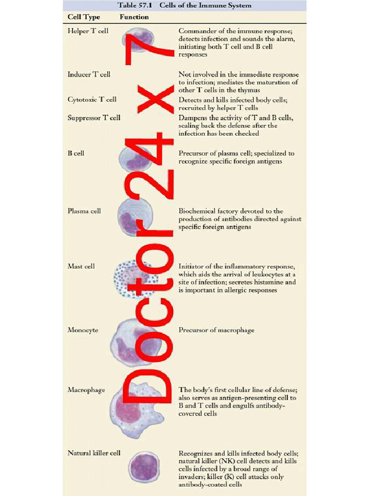 Immune Systempdf Version 1 - 240924 - 162053 | PDF
