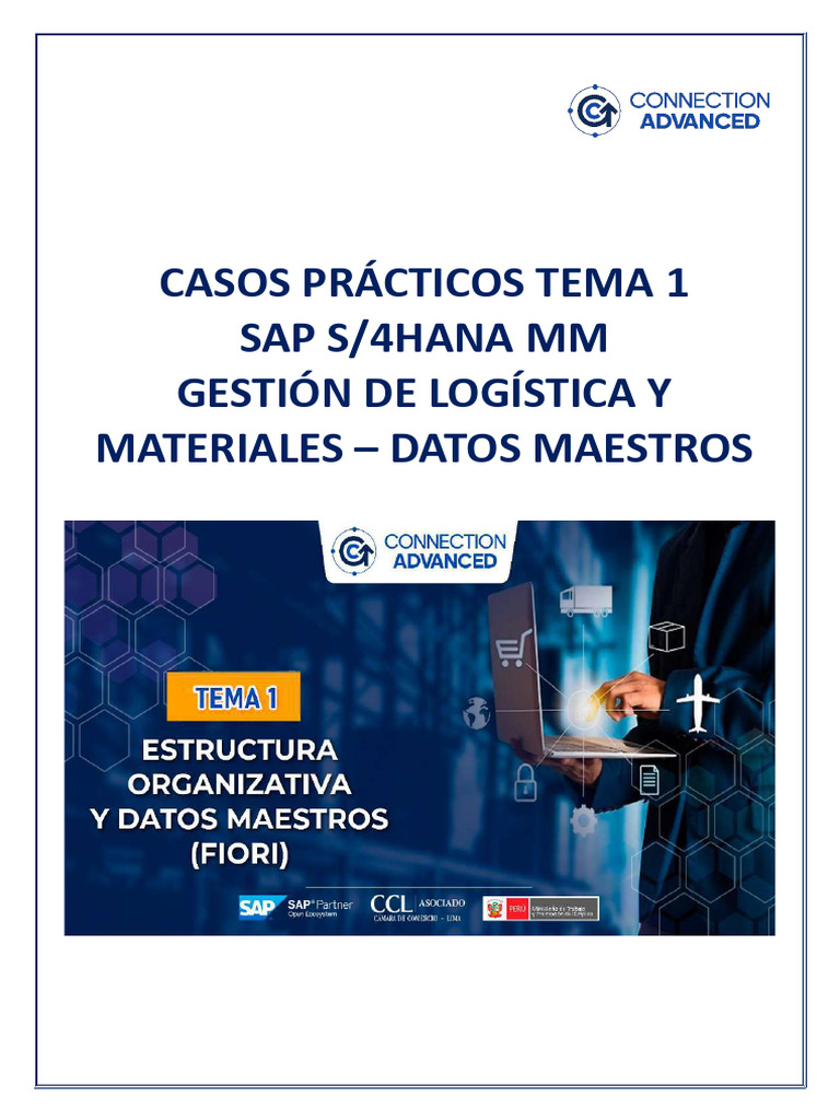 Casos Prácticos - Clase 1 S4hana MM (Datos Maestros) | PDF | Microsoft Excel | Hoja de cálculo