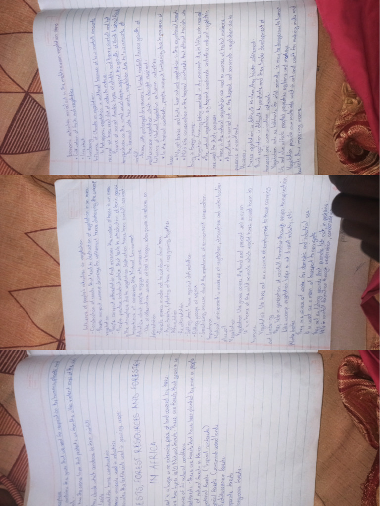 Geography Work Pdf