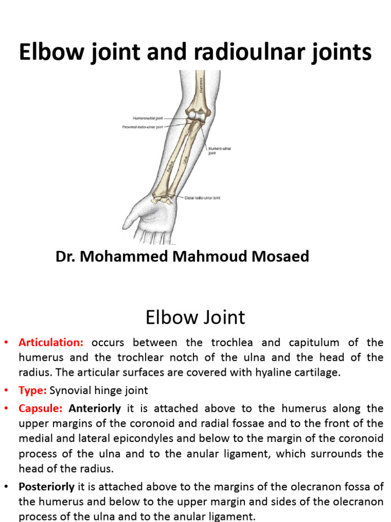 Elbow joint and radioulnar joints_١١١١٥٠ (1) | PDF | Elbow | Musculoskeletal System