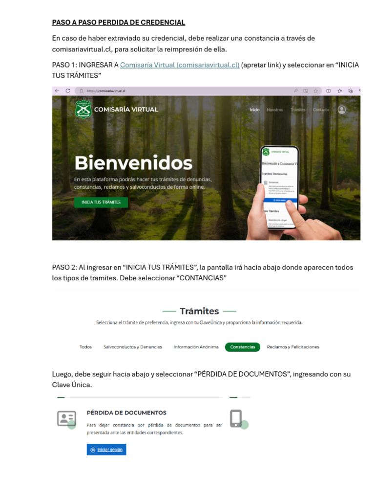 Paso A Paso Perdida de Credencial - 050225 | PDF