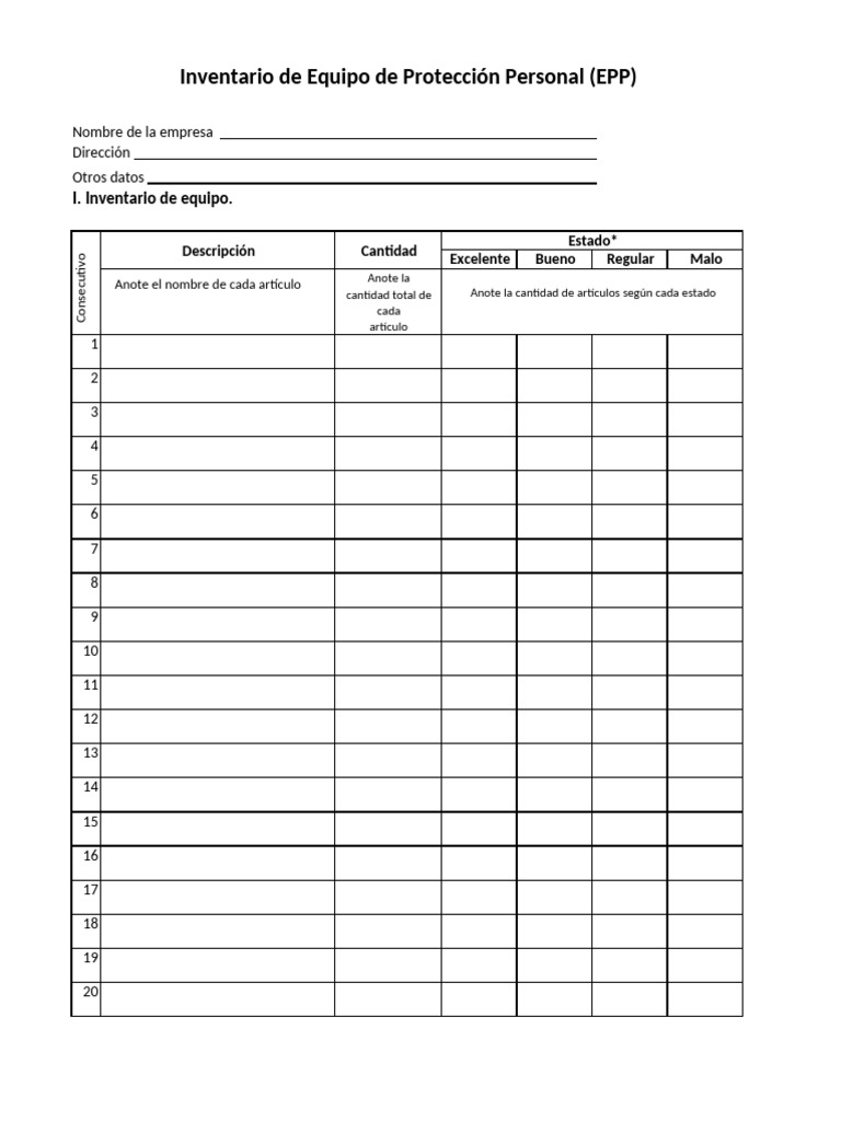 Formato de Inventario EPP | PDF
