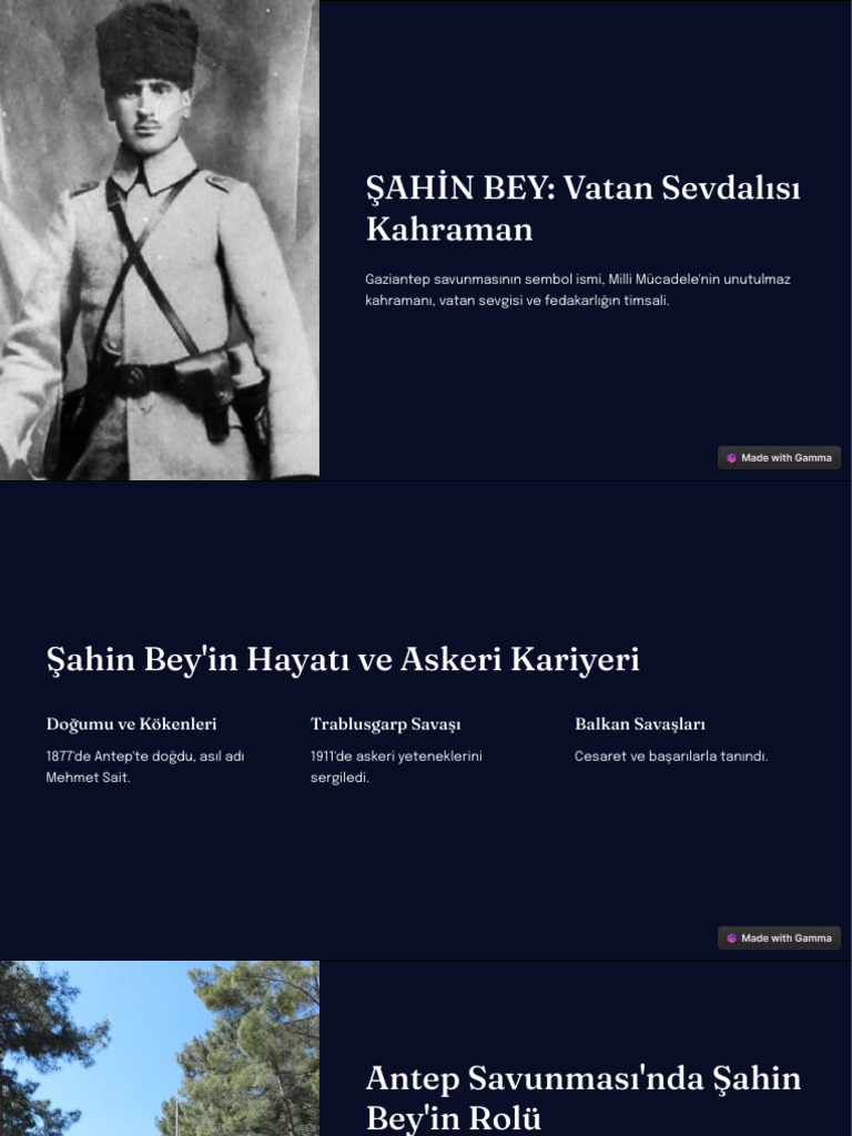 SAHIN BEY Vatan Sevdalisi Kahraman | PDF