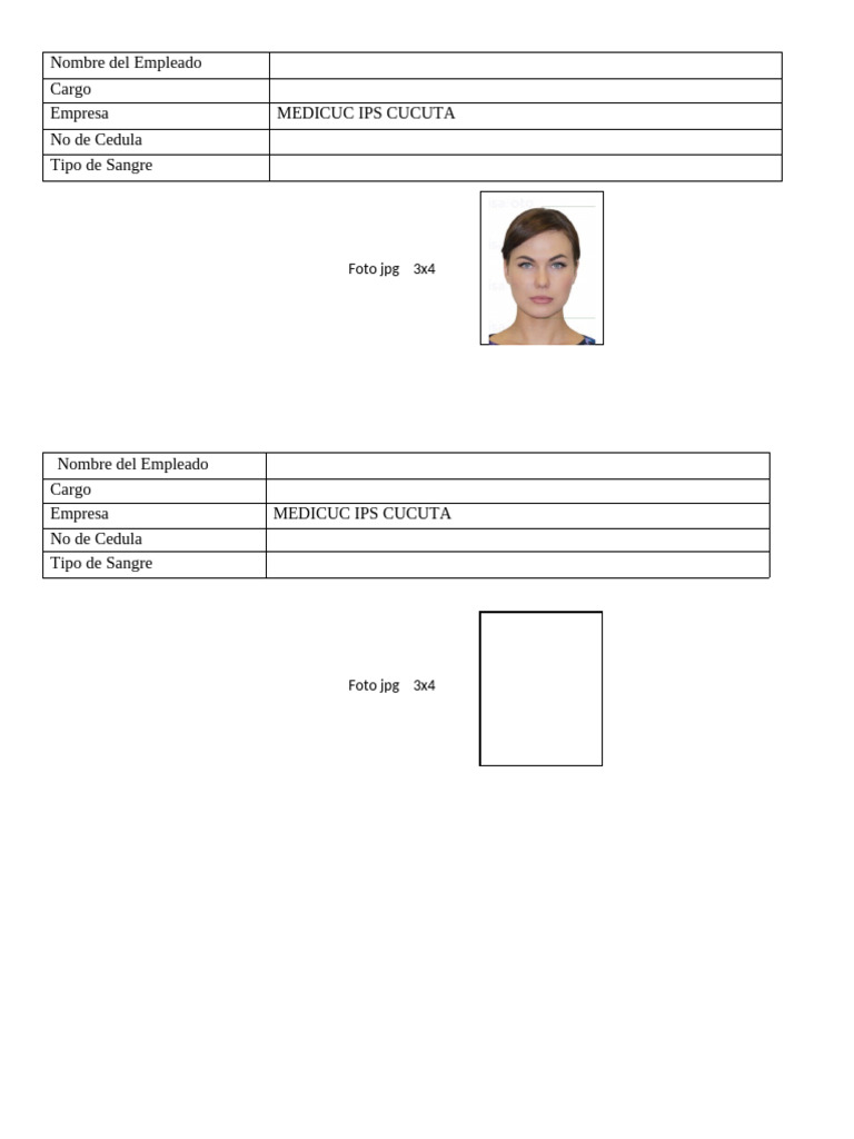 Plantilla Carnets | PDF