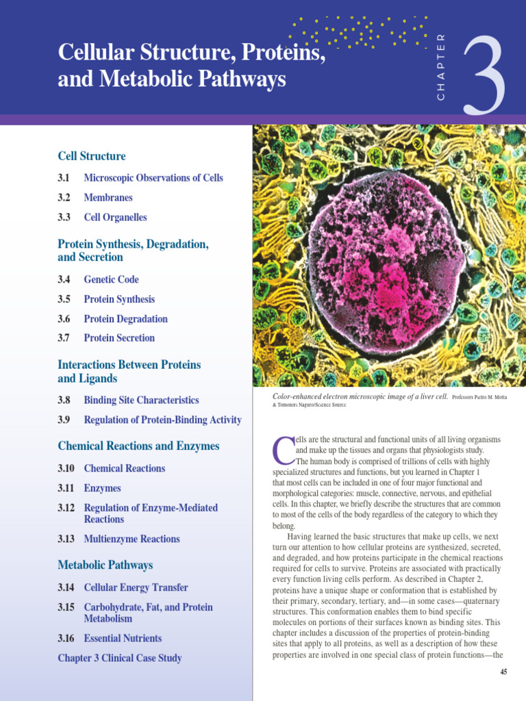 Chapter 03 | PDF | Cell Membrane | Cell (Biology)