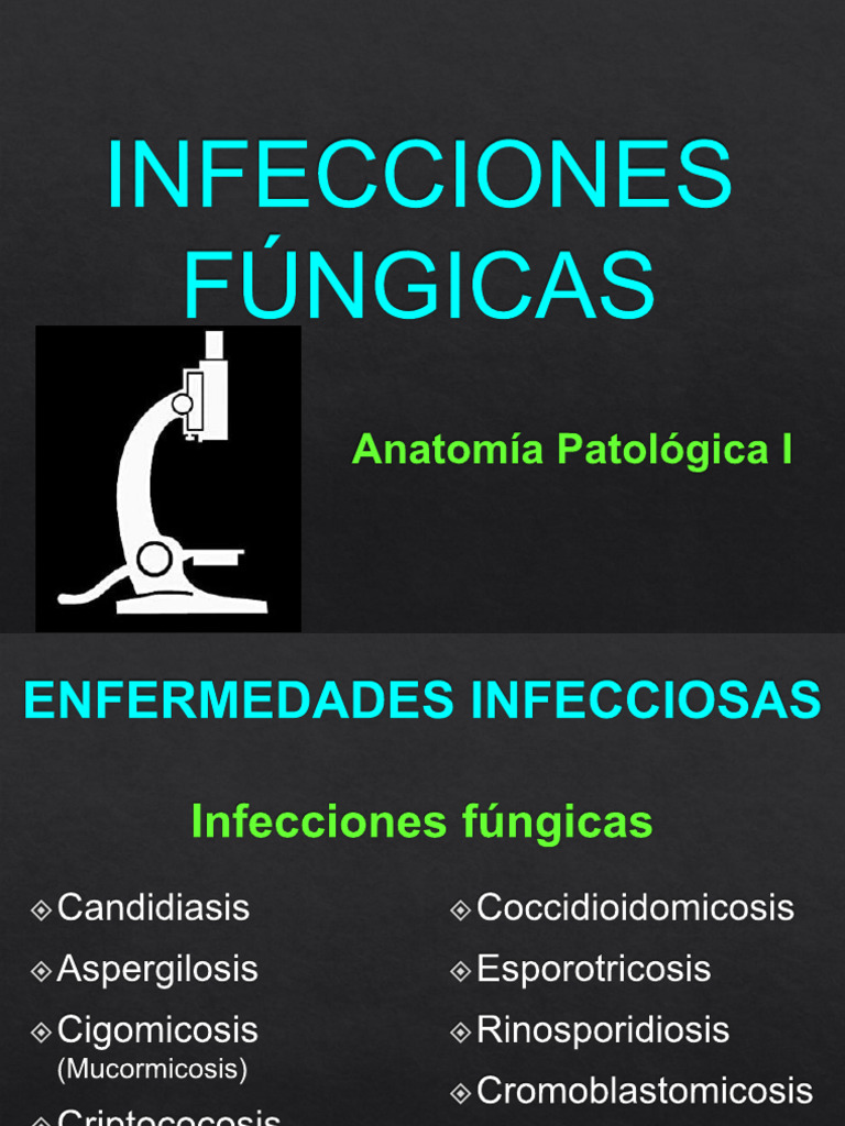 Infecciones Fúngicas: Tipos y Morfología | PDF | Infección | Tinción