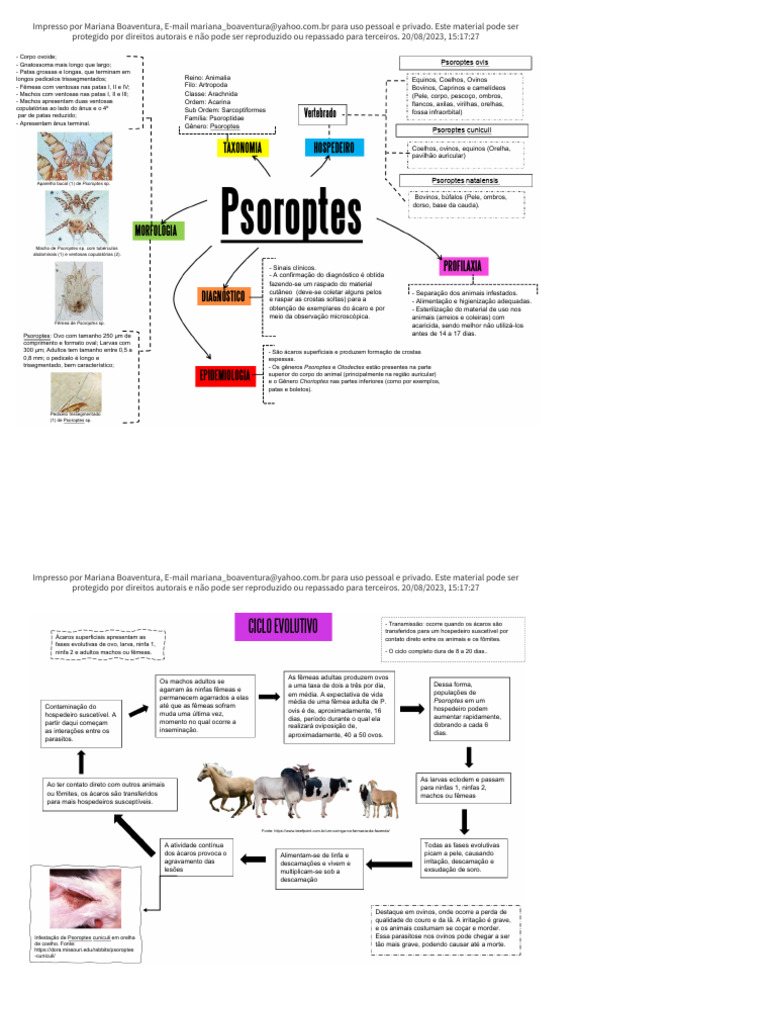 Infestação por Psoroptes em Animais | PDF | Ovo | Zoologia