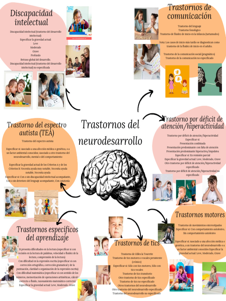 Mapa Mental Trastornos Del Neurodesarrollo Psicopatología I | PDF | Desorden hiperactivo y ...