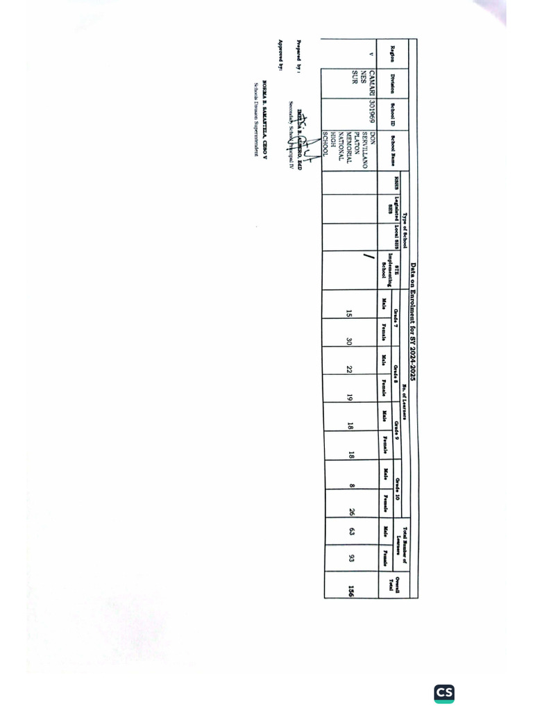 DSPMNHS STE Schools Data SY 2024-2025 | PDF